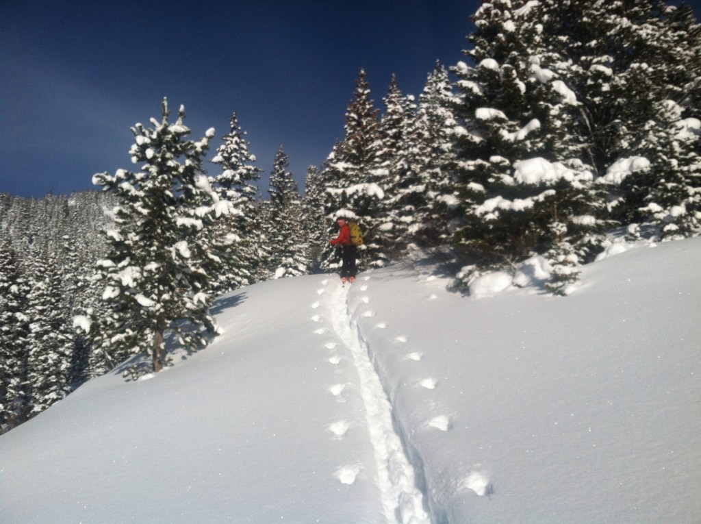 Backcountry Skiing on Pikes Peak with the Alpine School