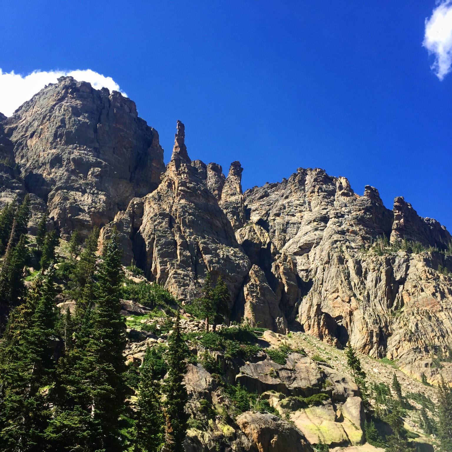 Pikes Peak Alpine School - Rock Climbing Colorado Springs, CO